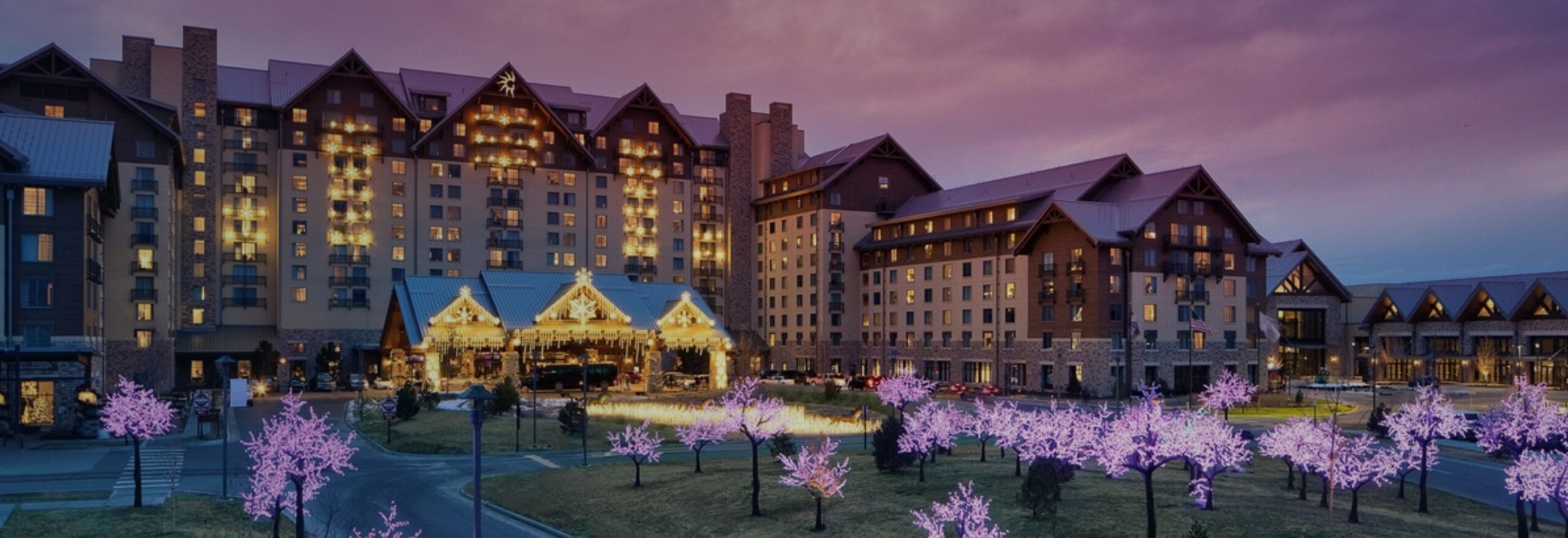 Perioperative & Anesthesiology Workflow Solutions | Picis